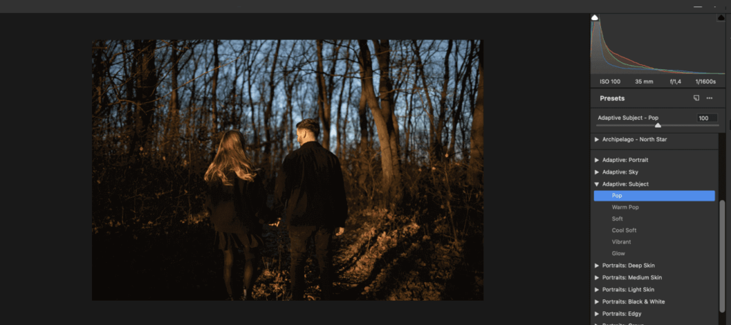 What are AI Presets? A Guide to Adaptive Photo Editing (2026)