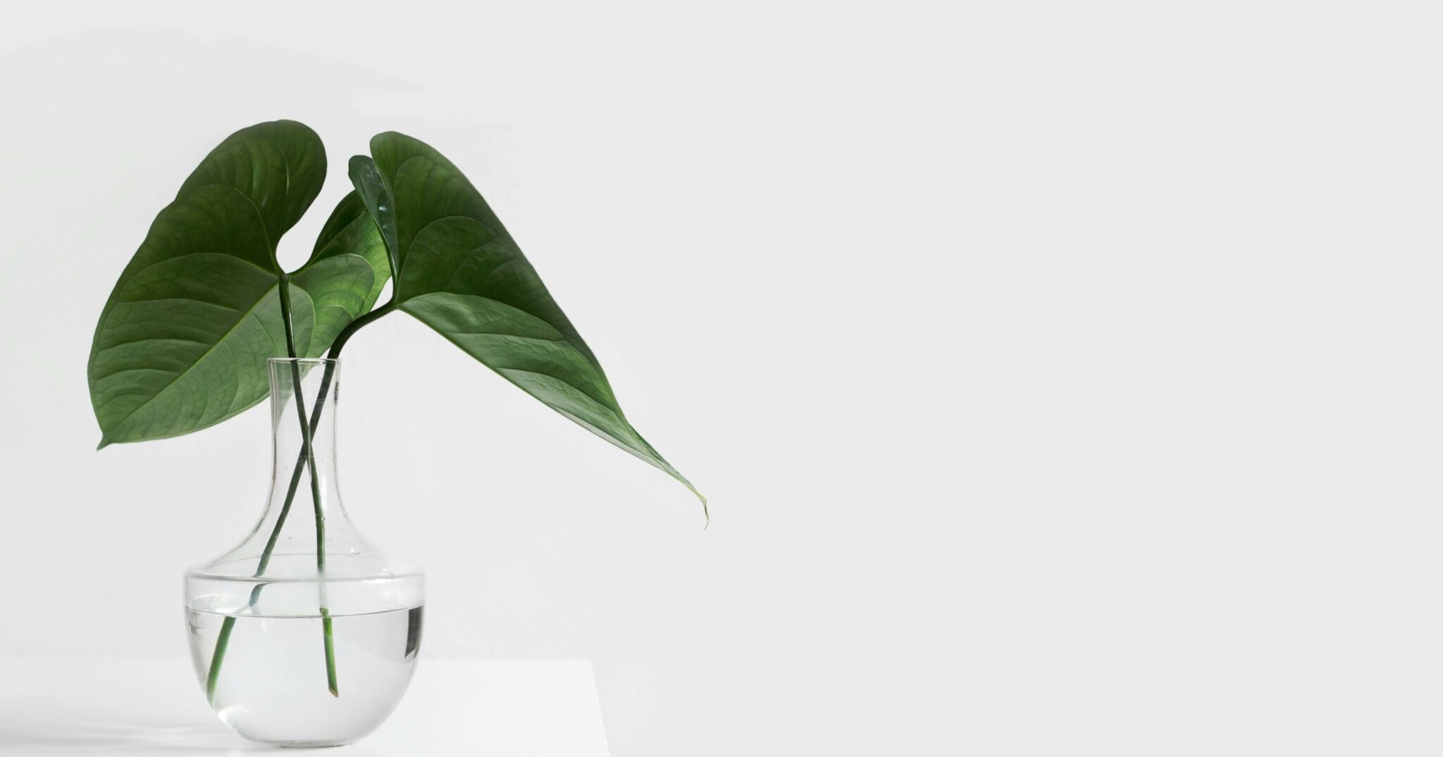 13 Photo Editing Styles for Photographers - Aftershoot