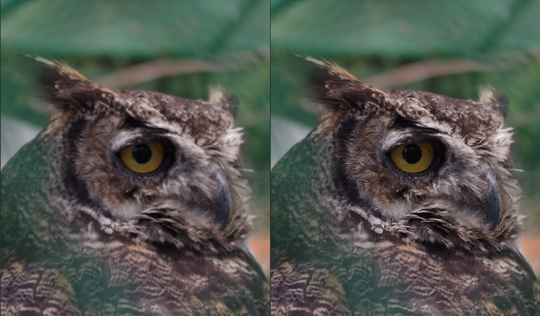 Best AI Photo Editing Software for Photographers (2026 Guide)