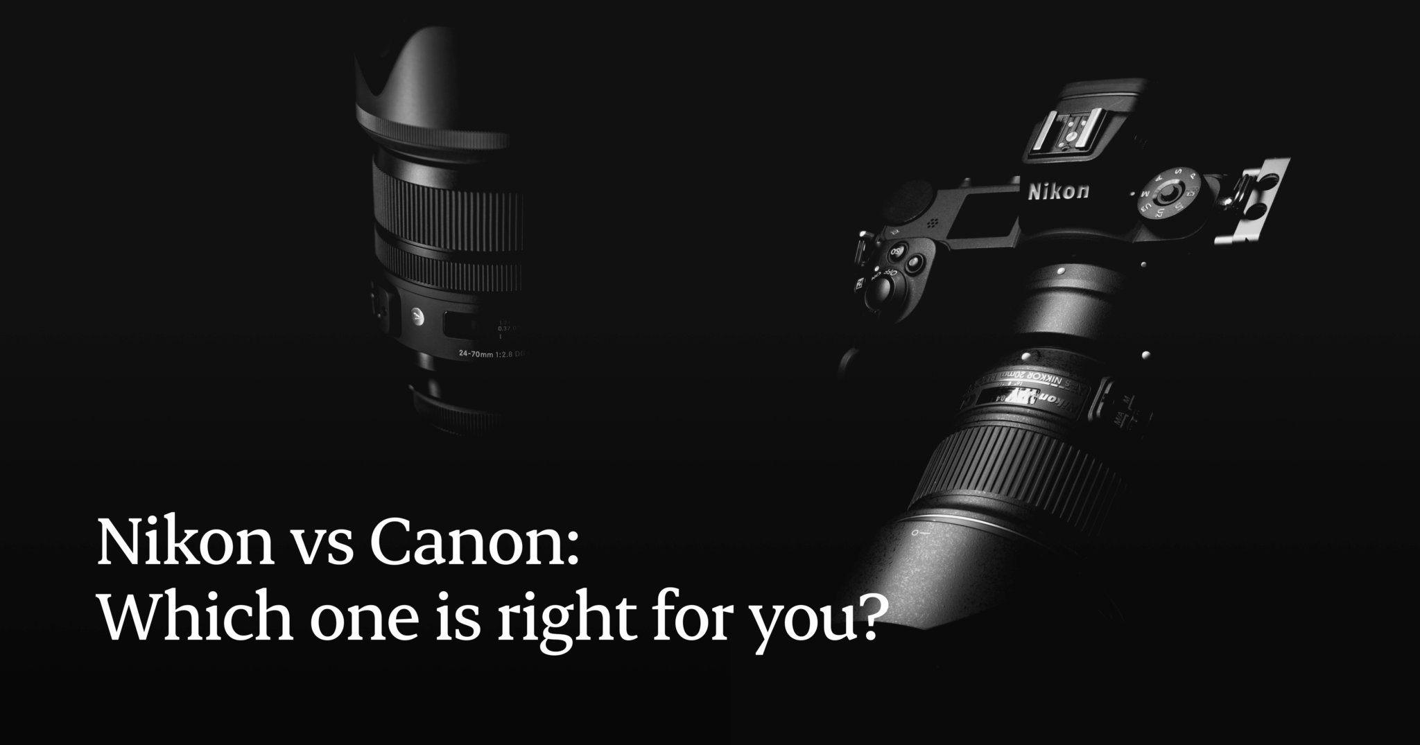 Nikon vs Canon: A Guide for Professional Photographers
